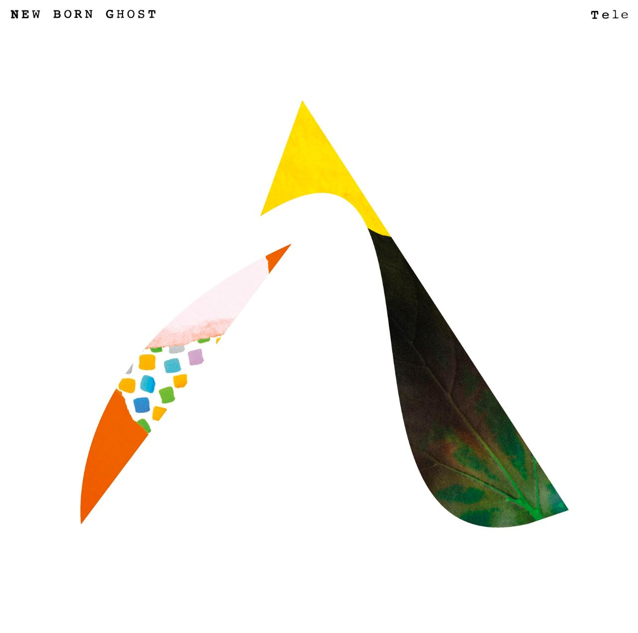 【6月邦楽ヘビロ】鋭い光の持ち主 Tele の魅力とは！ | WANNALAB.｜FM802ワナビーズ